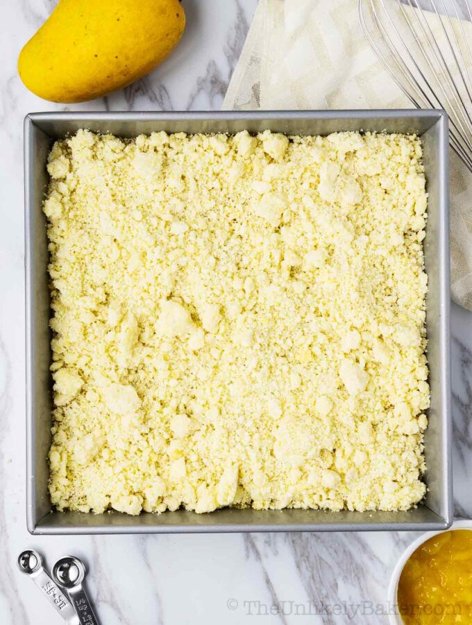 Mango Bars - The Unlikely Baker®