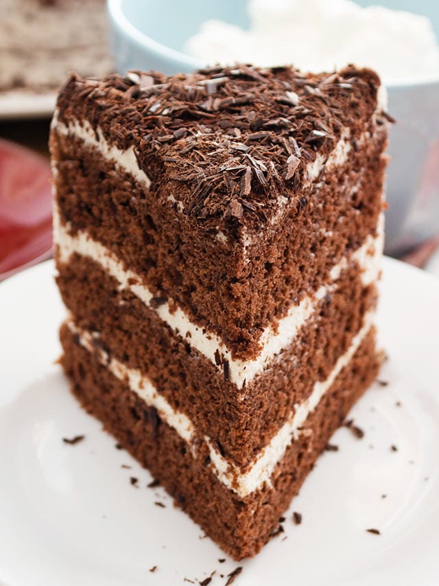 Chocolate Chiffon Cake Story