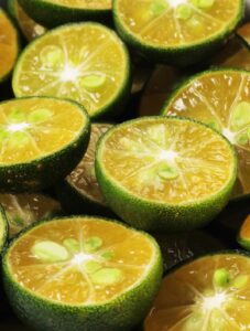 Calamansi Pie Recipe